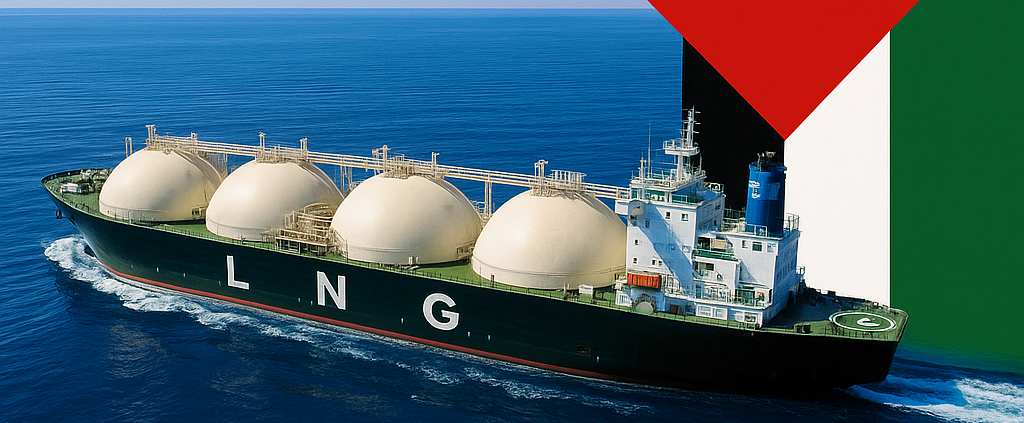 Oppose Shannon LNG For Peace & Climate Justice - No Fracked Gas, No Complicity in Genocide ...